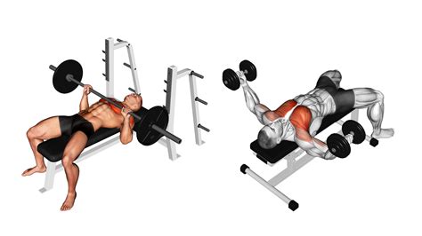 Superset Vs Compound Sets Differences In Training Explained Inspire Us