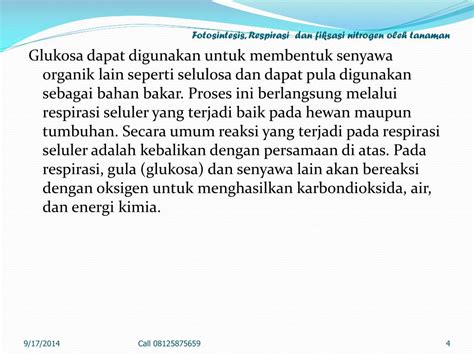 Ppt Fotosintesis Respirasi Dan Fiksasi Nitrogen Oleh Tanaman