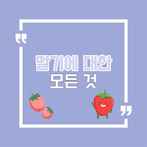 딸기의 모든 것딸기 품종 설향부터 아리향까지 고르는법 세척법 — 엘티딩의 블로그