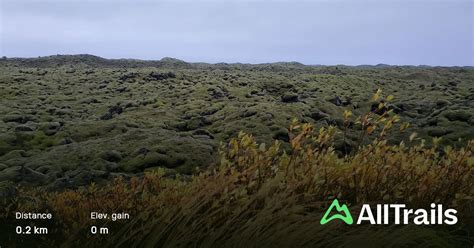 Eldhraun Lava Field Southern Region Iceland 14 Reviews Map Alltrails