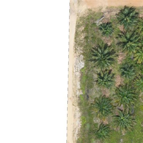 Old Dataset 2 Object Detection Dataset By Health Detection