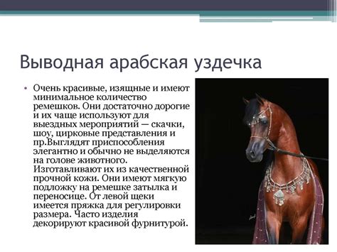 Виды уздечек Конный спорт презентация онлайн