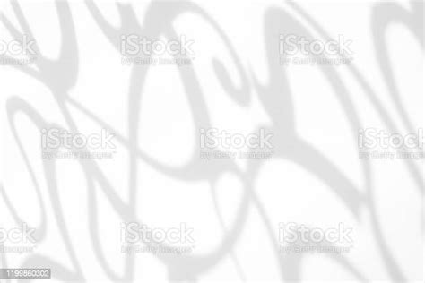 흰색 벽에 매력적인 유기 드롭 그림자 0명에 대한 스톡 사진 및 기타 이미지 0명 개념 건축 Istock