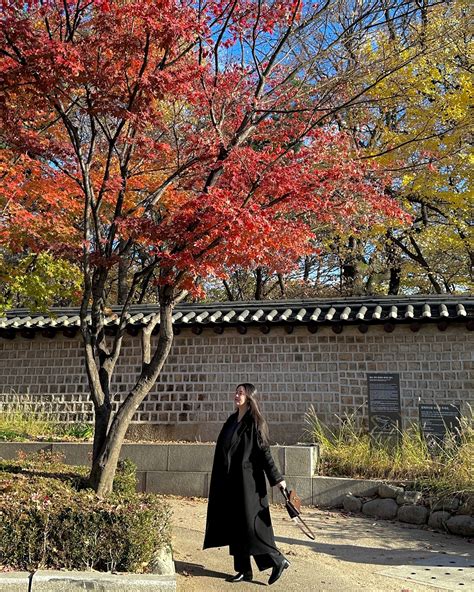 🐶 ⠀ 사계절에 다 오고싶은🌲 ⠀ 모노레일을 타고 올라가면 보이는 울창한 숲🌲🤎🌲🤎 봄여름가을겨울 언제와도 너무 이쁠거