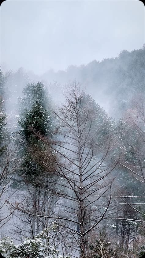 보라시골 And 서미순나물연구소 3월 레터프롬맘 안내 흐린 날씨지만 아직 쌀쌀한 바람에서 느껴지는 옅은 봄기운에 ”이제 봄이구나 했어요 그러고보니 어머니께 받은 메뉴에도