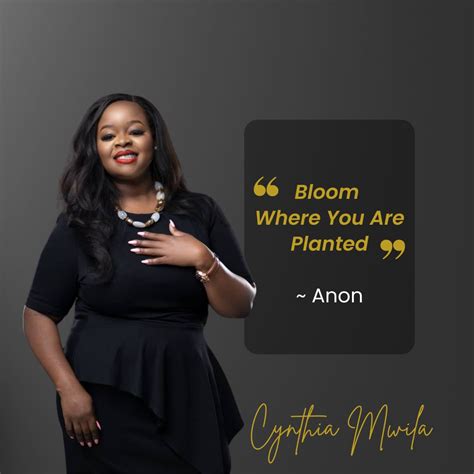 How To Thrive In Any Climate Cynthia Mwila Mba Pgdip Llb Hons Posted On The Topic Linkedin