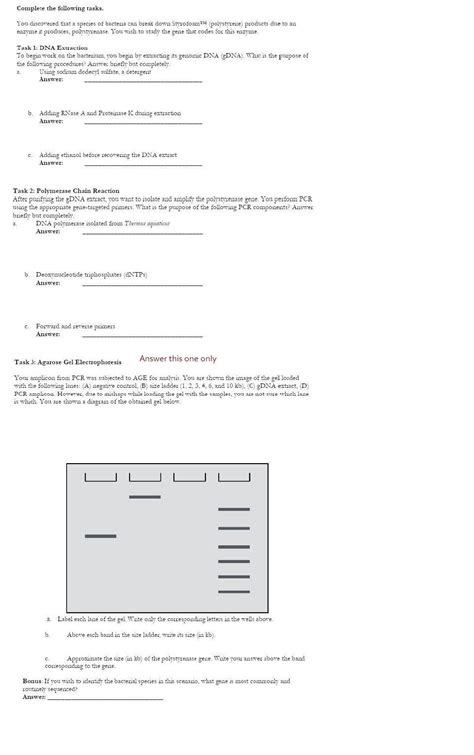 Solved Complete The Following Tasks You Discovered That A Chegg
