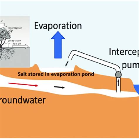 Schematic Diagram Of A Salt Interception Scheme Redrawn From Williams