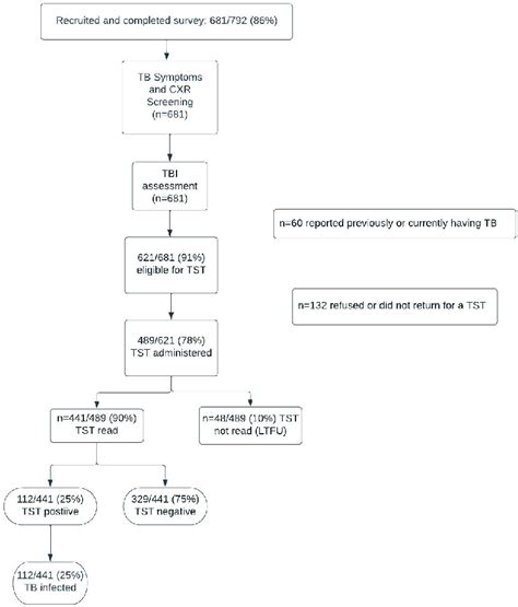 TB Infection Investigation Flow Among Healthcare Workers Screened For Download Scientific