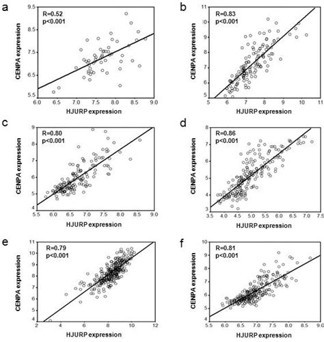 Correlation Between Hjurp And Cenpa In Mrna Levels There Is A Highly