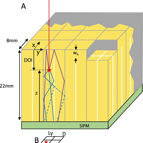 A Novel Block Design Made Of 8 × 8 × 22 Mm³ Crystal Sub Blocks Download Scientific Diagram
