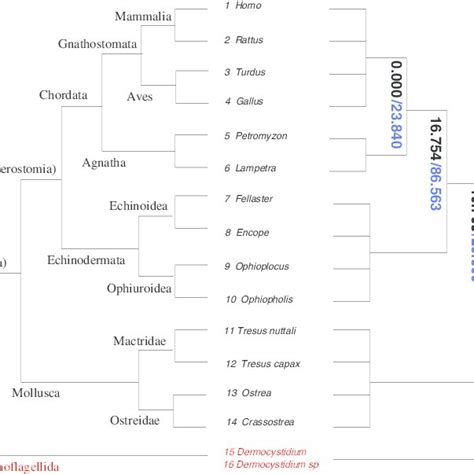 Undisputed Tree Left And Minimum Conflict Tree Right For The