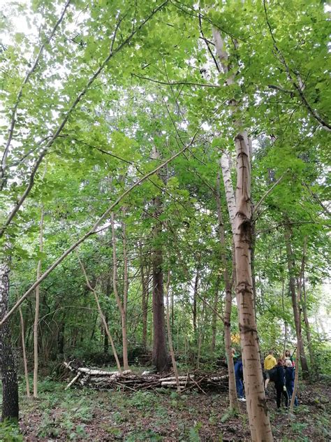 Naujiena Vilniaus Miesto Parkai