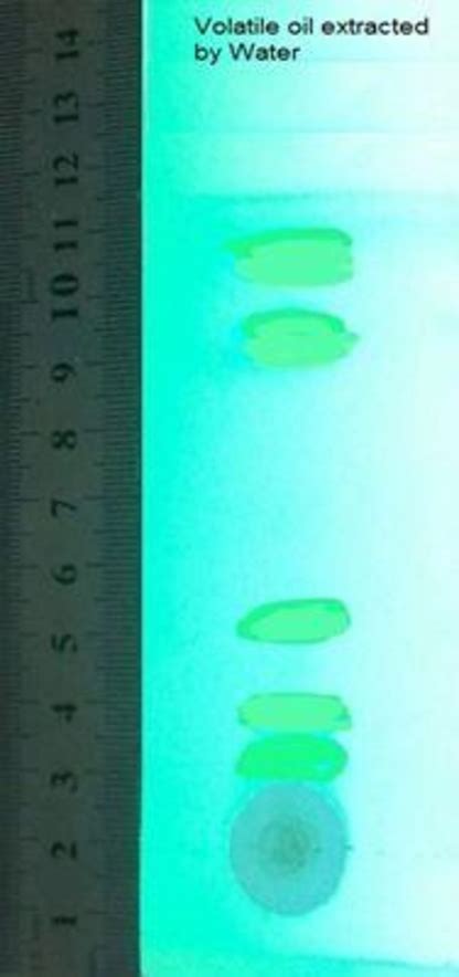 TLC Chromatogram Tabel Retention Factor Rf Of Identification