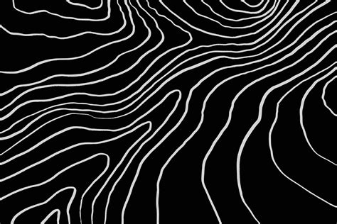 Abstract Black And White Contour Outline Background Design Luxury And