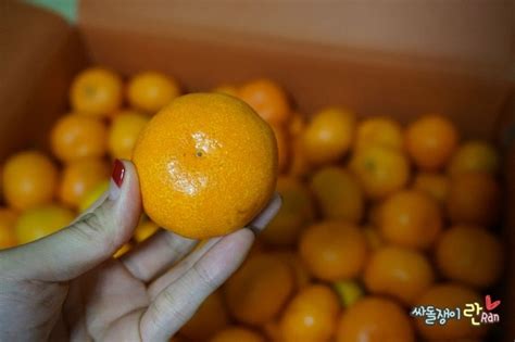 제주감귤 직거래로 귤 10kg 주문했어요~ 부제 귤청 만들기 도전♩ 네이버 블로그