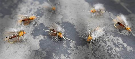 Dry Flies And Trout Dry Flies Reelflies
