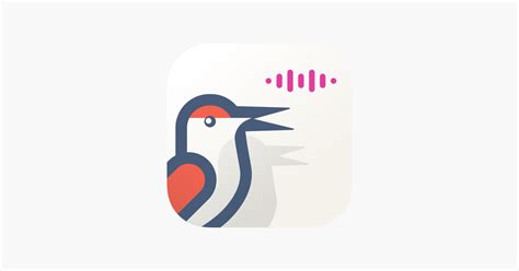 Echo AI Mock Interview Prep En App Store