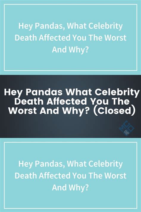 Hey Pandas What Is This Thing Help Other Pandas Identify Random Items