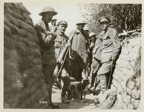 Photos De La Vie Au Front Tranchées De Réserve Le Canada Et La