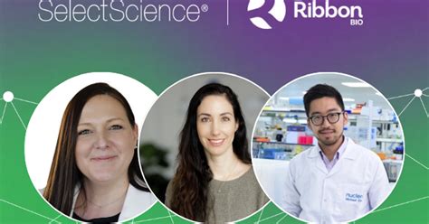 Accelerating Enzyme Optimization Through An Integrated Design To