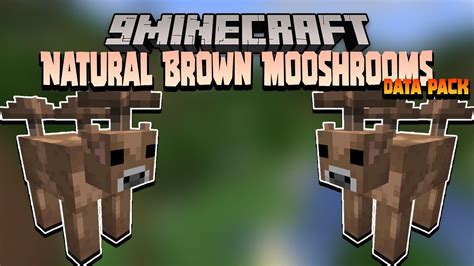 Natural Brown Mooshrooms Data Pack 1182 1171 Natural Spawn