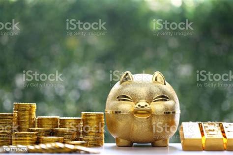 돼지 저금통과 천연 녹색 배경에 금괴 사업 투자 및 미래 개념에 대비하기 위한 비용 절감 돼지 저금통에 대한 스톡 사진 및 기타 이미지 돼지 저금통 승리 동작 활동