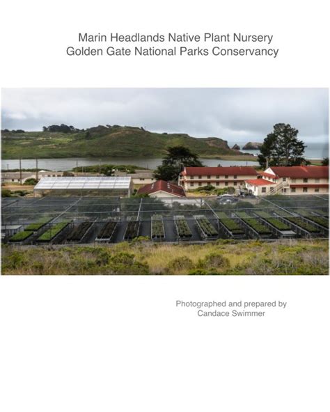 Marin Headlands Native Plant Nursery By Candace Swimmer Blurb Books
