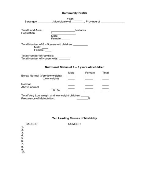Barangay Or Community Profile Template Pdf