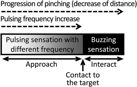 Sensory Feedback On The Teleoperators Fingertip During The Entire Download Scientific Diagram