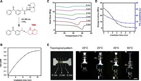 Light Triggered Topological Programmability In A Dynamic Covalent Polymer Network Science Advances