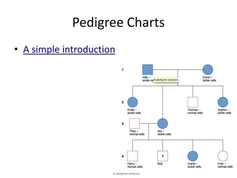 Ppt Meiosis 10 Th Grade Powerpoint Presentation Free Download Id