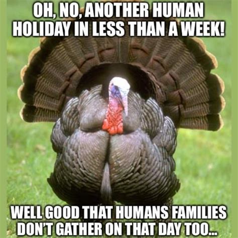 110 Hilarious Funny Thanksgiving Memes 2023
