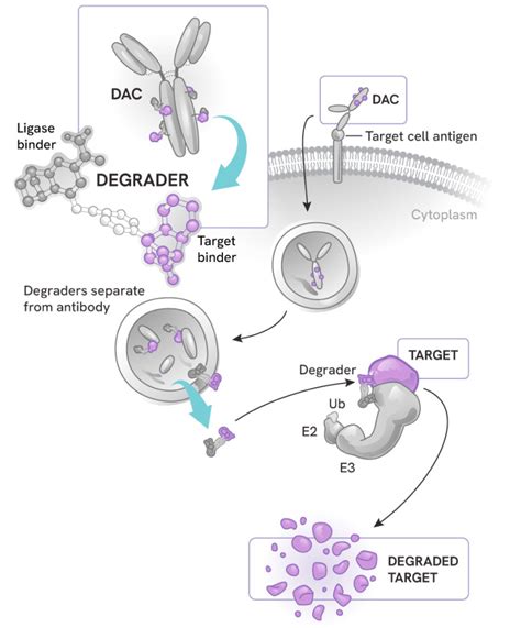 Targeted Protein Degradation Nurix