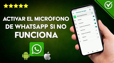 Guía Completa Cómo Permitir A Whatsapp Acceder Al Micrófono En 3