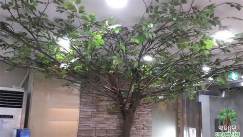 인조나무 실내나무 엠뷰티미용학원 느티나무 연출 네이버 블로그