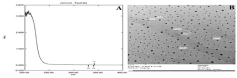 The Xrd Pattern A And Tem B Selenium Nanoparticles Download