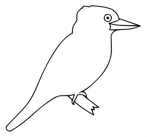 Kookaburra Coloring Page
