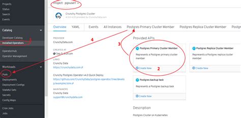 crunchy data postgresql operator nubenetes