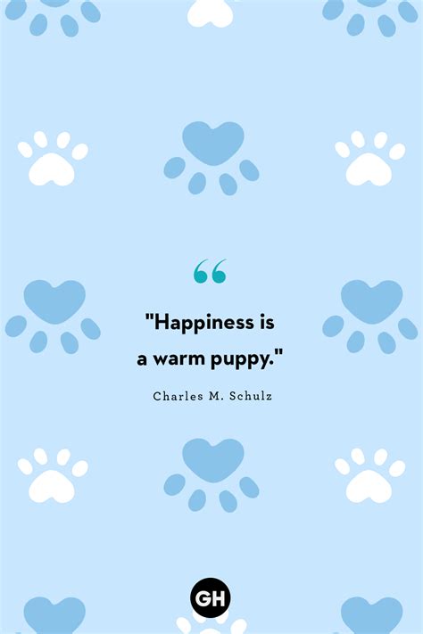 50 Best Dog Instagram Captions Short And Funy Captions For Dogs