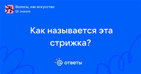 Как называется эта стрижка Ответы Mail