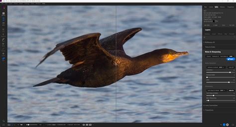 On1 Photo Raw 2024 Is A Doozy And Gets Another Interim Update Fstoppers