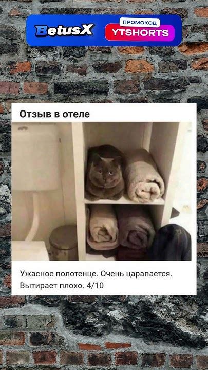 мем мемы Memes Funny мемчик мемас мемасик мемасики Youtube