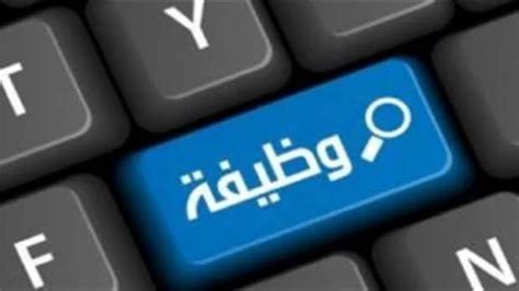 وظائف خالية بمرتب 15 ألف جنيه شهريا الشروط وطريقة التقديم الوطن