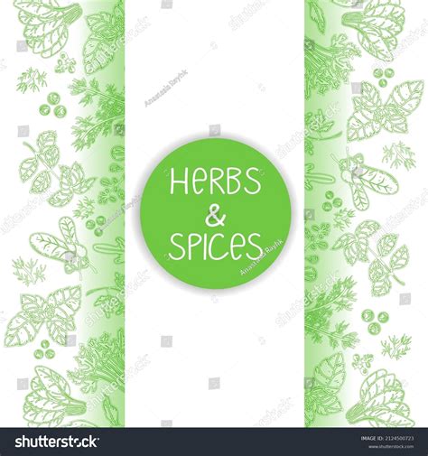 Packaging Layout Herbs Spices Handdrawn Vector Stock Vector Royalty