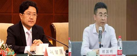 这个数字太神奇！又见落马“老虎”有与32名女下属的跌宕纠葛 知乎