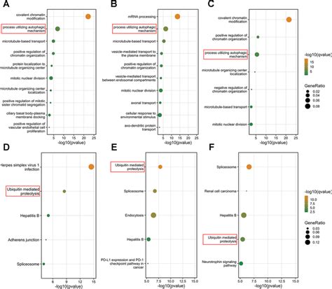Function Prediction Of Three Characterized Chromatin Remodeling