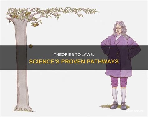 theories to laws science s proven pathways lawshun