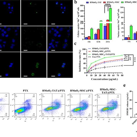 In Vivo Antitumor Efficacy A Schematic Illustration Of The Drug