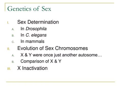 Ppt Genetics Of Sex Powerpoint Presentation Free Download Id 4316367